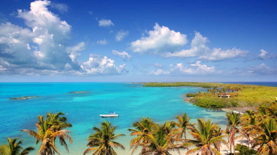 Isla Contoy – Grupo Lomas – Digital Midia Center